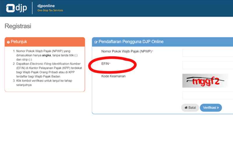Minta EFIN Lagi? Kirim Data dan Swafoto Anda ke Email Kantor Pajak